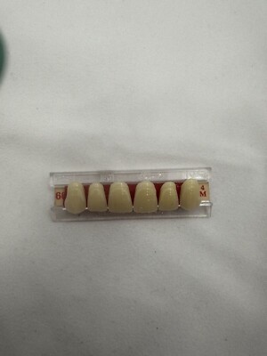 Justi Imperial Wear Resistant Plastic Teeth 66 4M *11 Count* | eBay