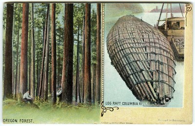1900s OREGON FOREST & COLUMBIA RIVER LOG RAFT~RARE DUAL IMAGE B.B. RICH ...