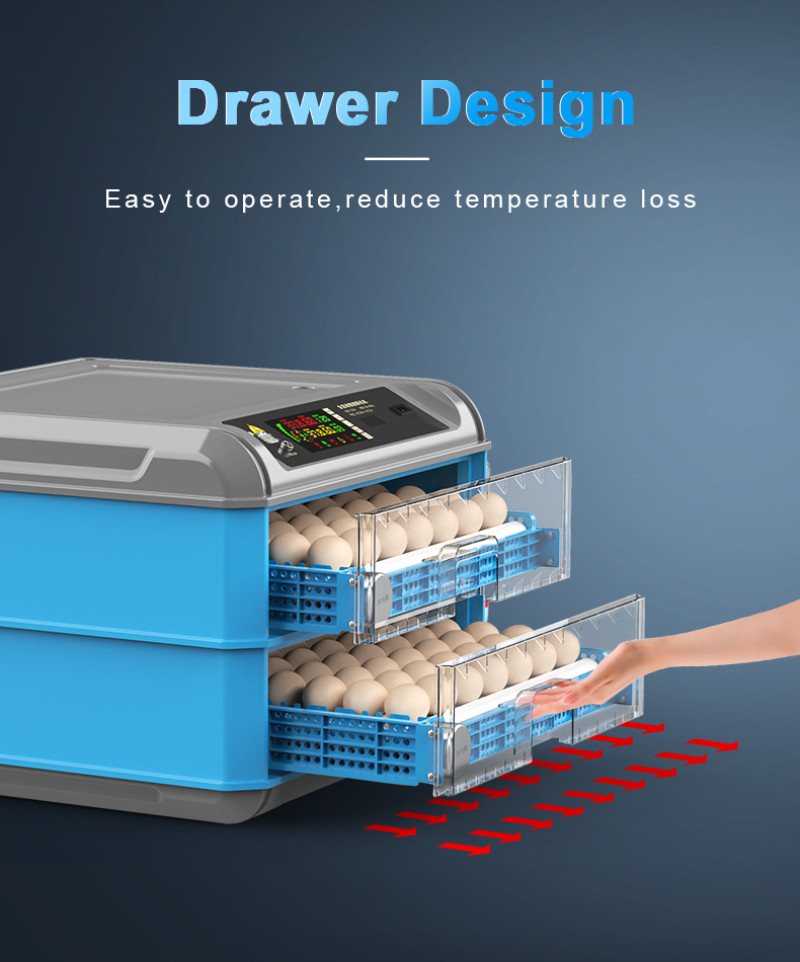 Egg Incubator Design And Assembly