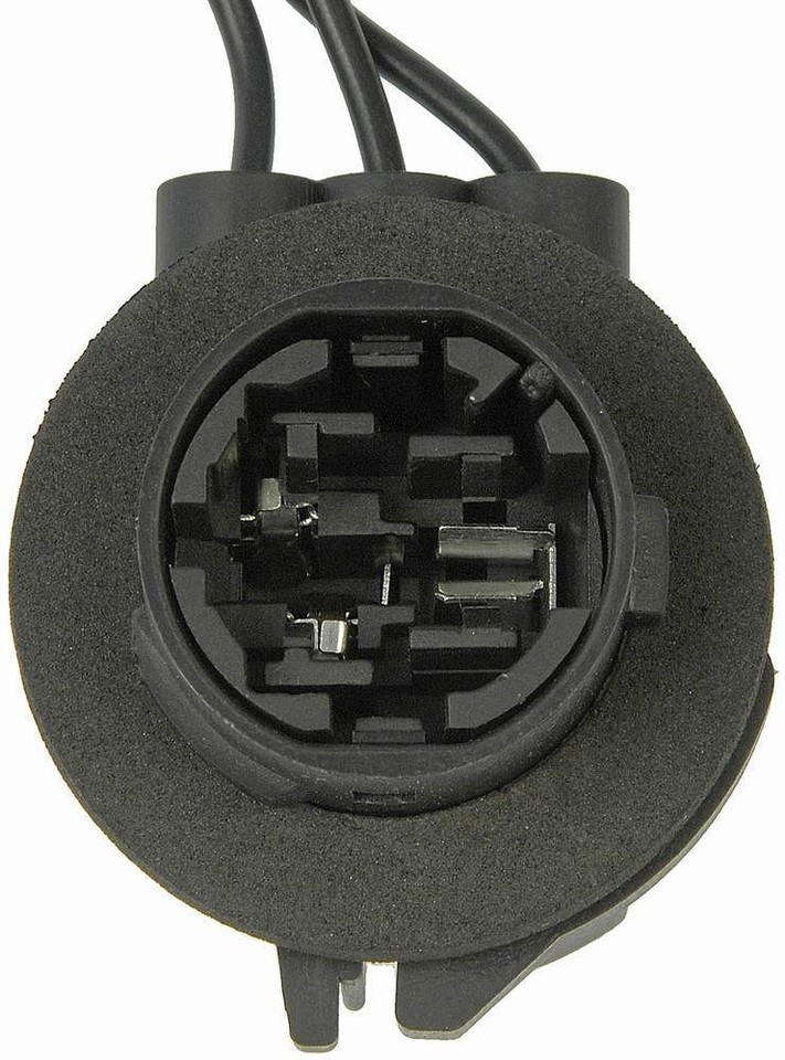 Tail Light Socket-Lamp Socket Dorman 85881 | eBay
