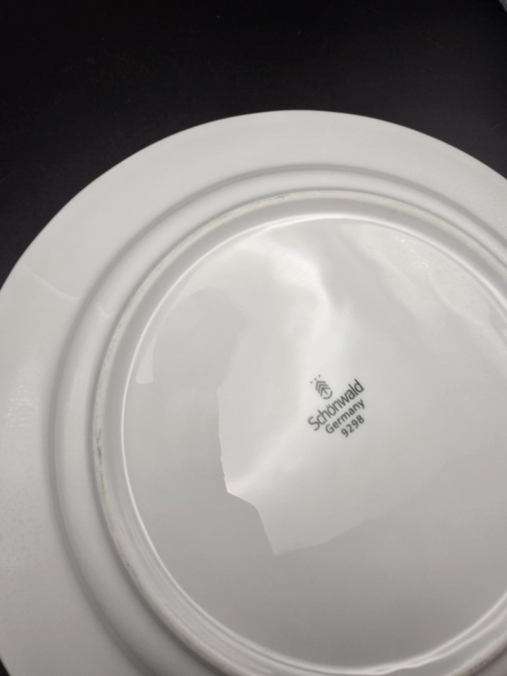 SCHONWALD GERMANY Rare Plaza Hotel NYC Vtg 11" Dinner Plates Gold Trim ...