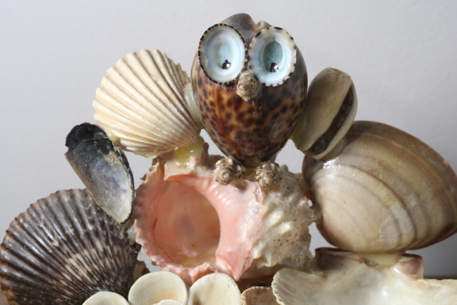 Vintage Ocean Seashell Souvenir Sculpture ~ Large Abalone Shell Base | eBay