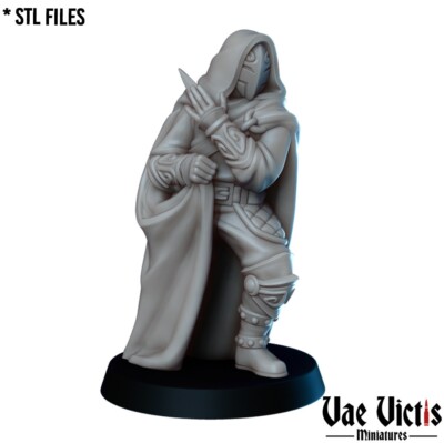The Masked assassin Human The Masked assassin Miniature DnD D&D ...