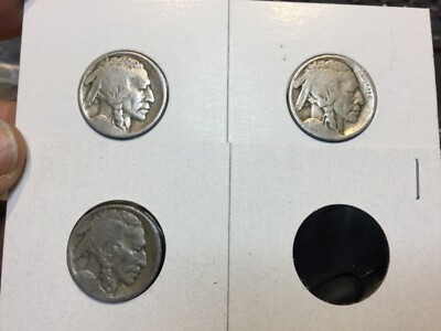 1913 P-D-S type one Trio of Buffalo Nickels one price three coins | eBay