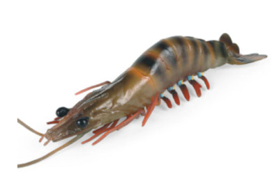 22cm Prawn Fish PVC Toy Ocean Sea Animal Figure Kids Gift | eBay Australia