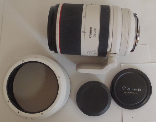 Canon RF70-200mm F2.8L IS USM Telephoto Zoom Lens for EOS R-Series ...