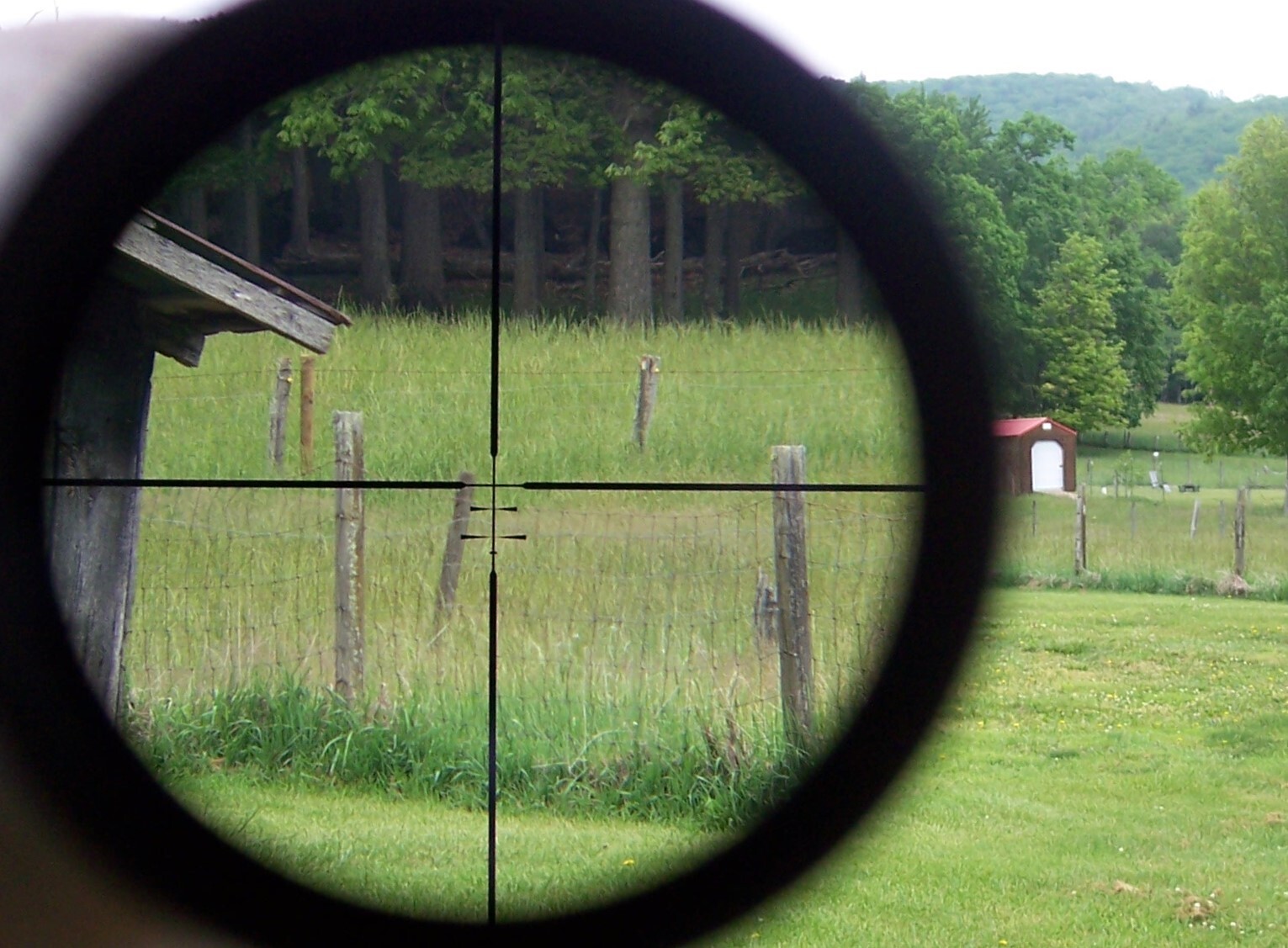 Leupold VX-L 4.5-14x50mm Low Profile Scope Boone & Crockett Reticle ...