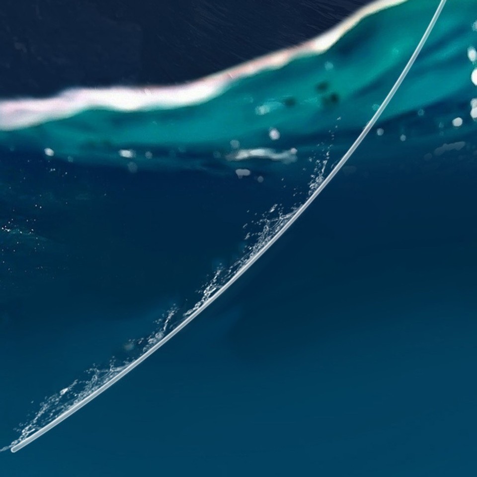 Heavy Duty Nylon Wire Line Low Line Extension Quick Bite Signal ...