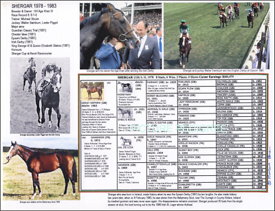 Horse Racing SHERGAR picture pedigree 8.5 by 11 | eBay