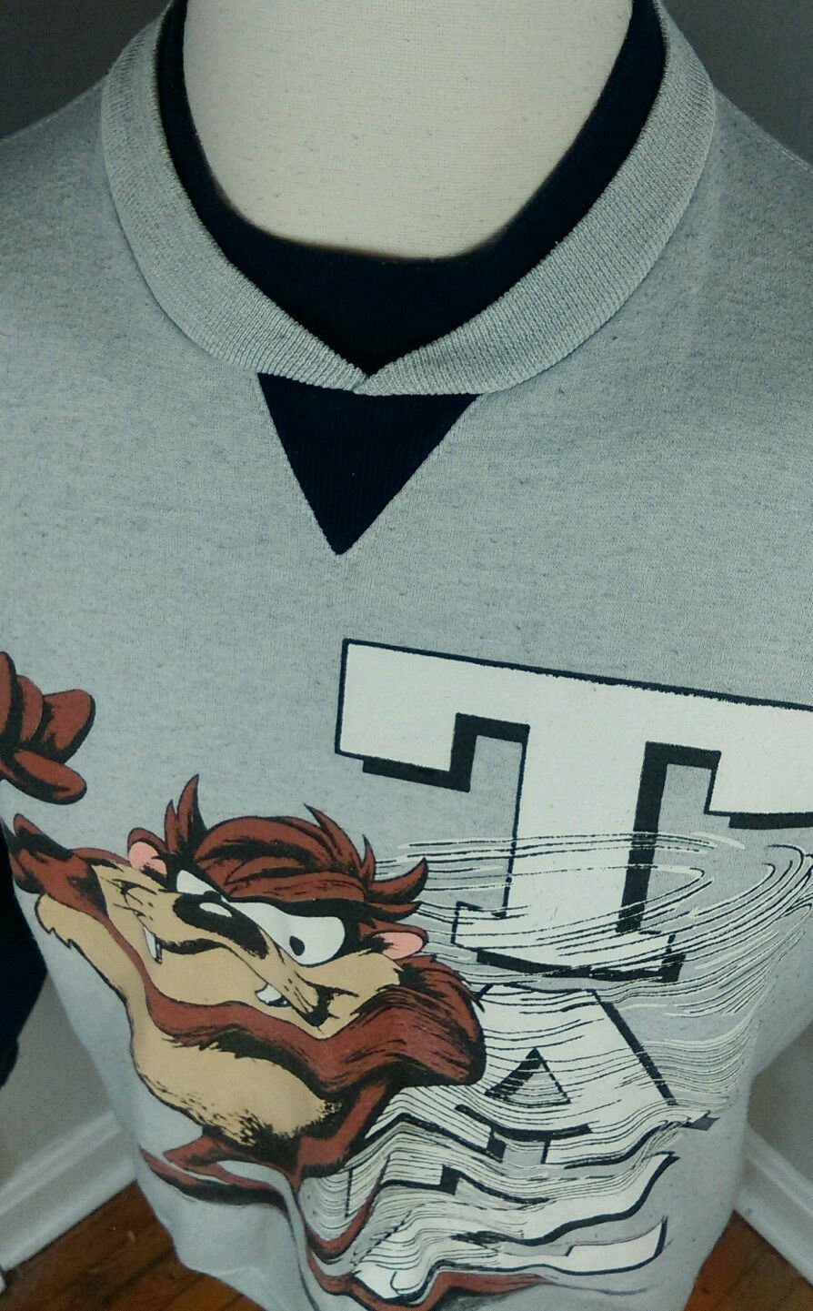 Vintage 90s Taz Looney Tunes Warner Bros Sweatshirt C… - Gem