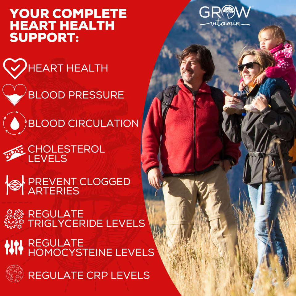 Healthy Heart Support, Complete Heart Health With 22 Premium Herbs ...