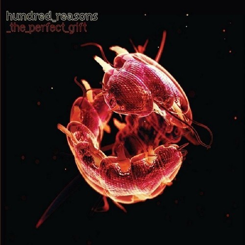 Hundred Reasons(CD Single)The Perfect Gift----New 5033197404233 | eBay