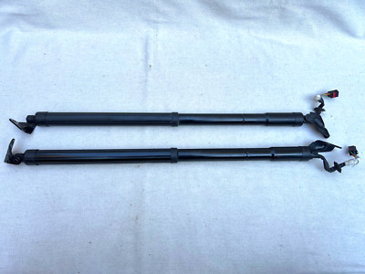 2013-2016 Nissan Pathfinder Liftgate Left/Right Power Lift Cylinder ...