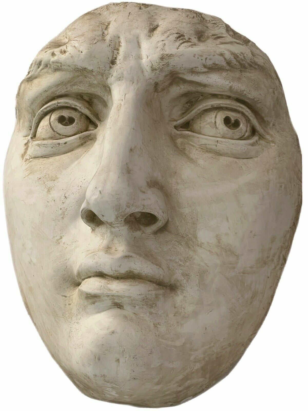 Michelangelo David Face