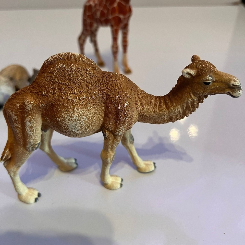 Schleich 5x Zoo Animal Bundle - Giraffe, Camel, Anteater, Raccoon ...