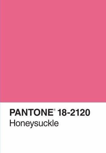 Pantone Honeysuckle 2011 Color of the Year Journal by Pantone Inc ...