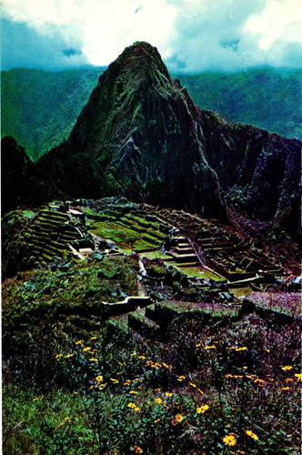 Machu Picchu Cusco Peru Postcard | eBay