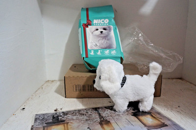 NICO ROBOTICA DOG | eBay