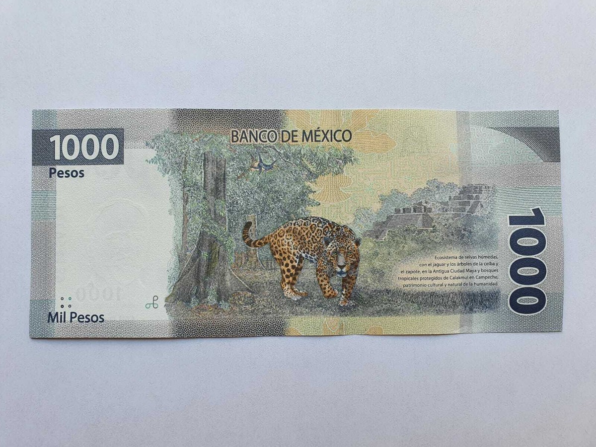 1000 Mil Pesos Mexican