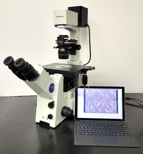 Olympus Microscope IX71 with HMC Hoffman Modulation Contrast | eBay