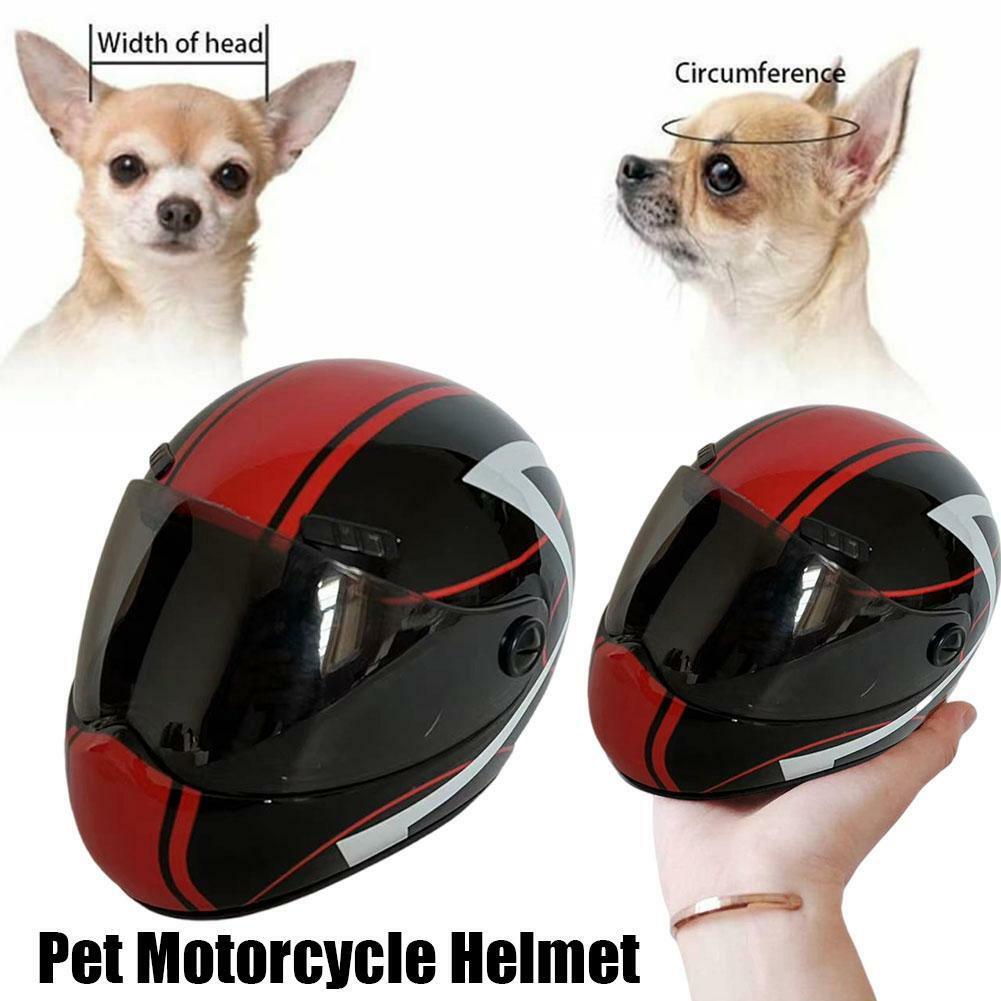 Animal Motorcycle Helmet