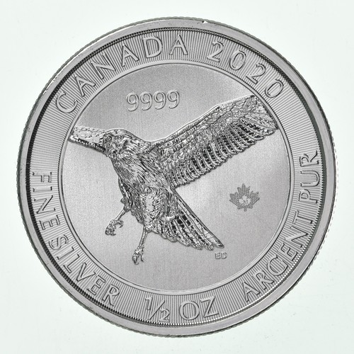 2020 Canada 2 Dollars 0.5 Oz Silver Red-Tailed Hawk World Coin- Silver ...