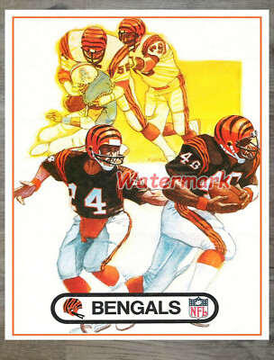 NFL Vintage Cincinnati Bengals Print Color 16 X 20 Photo Picture | eBay