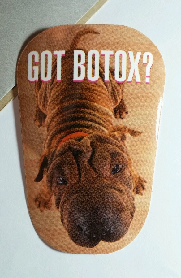Dog With Wrinkled Botox