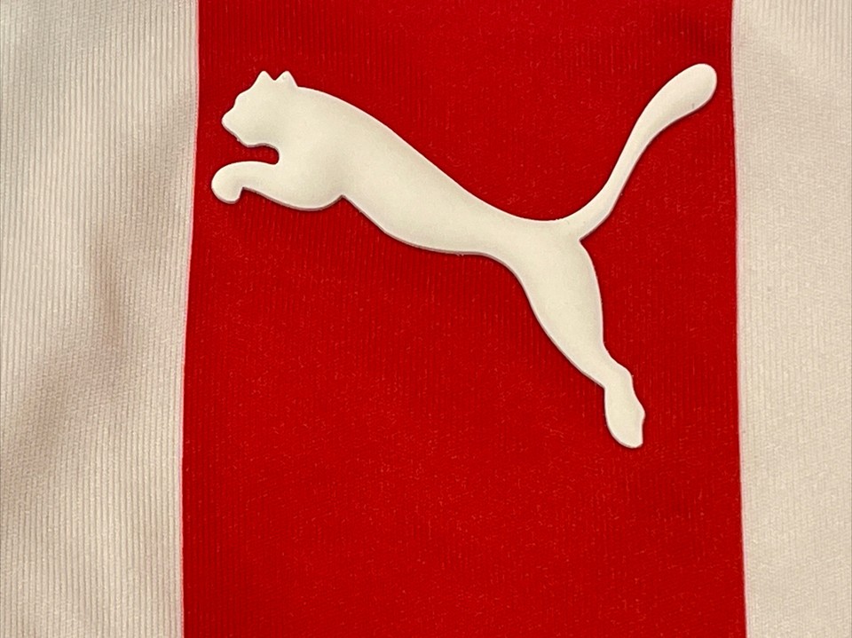 Puma Chivas Home Authentic Jersey (2021/2022) 705225-01 Men Sz L | eBay
