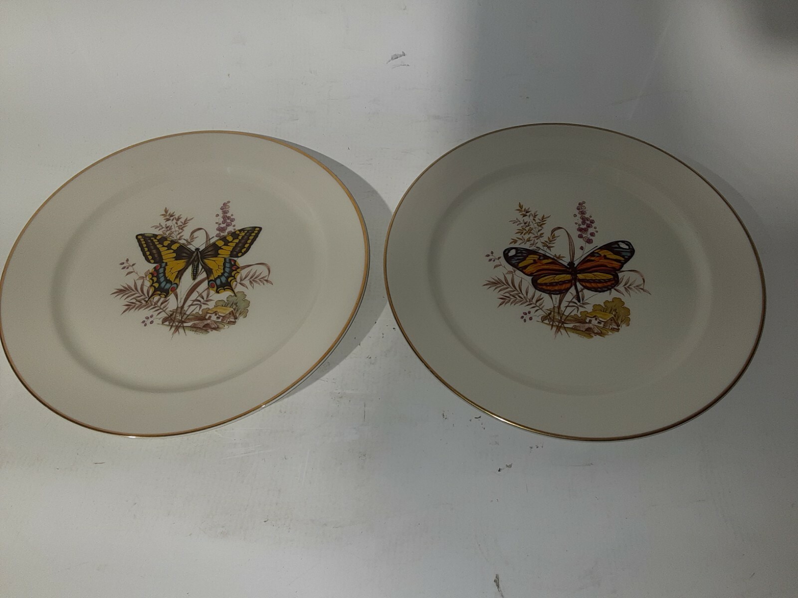 PICKARD HAND DECORATED 8.25" BUTTERFLY PLATES Gold Trim Beautiful ...