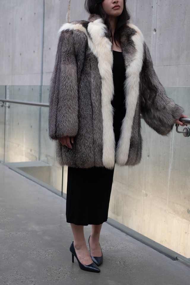 Indigo Fox Fur with Polar Fox Coat | Beautiful Cropped Fox Coat ...
