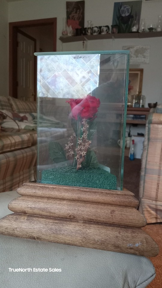 Vintage "The Rose" Music Box - Lifesake Flowers Real Preserved Rose | eBay