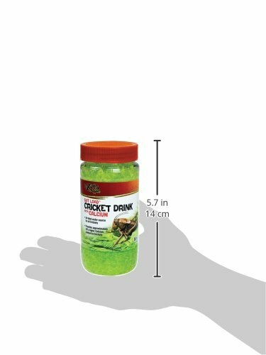 Zilla Gut Load Cricket Drink w/ Calcium, 16 oz 7445016891861| eBay