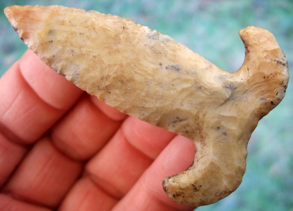 Super Fine Florida Coastal Flint Mustache Simpson Point with COA ...