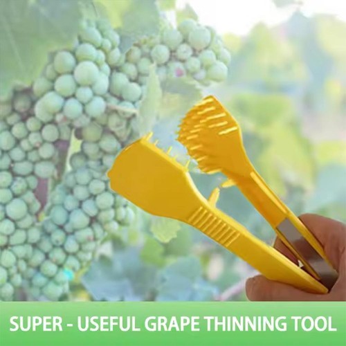 Grape Flower Thinning Clip Pruning Tool for Seedless Grape Good ...