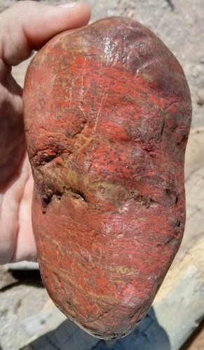 2 Lbs 3 oz Colorado River DINOSAUR COPROLITE Arizona Fossil Fossils ...