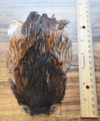 Lot 163, Natural India Hen Neck Cape Feathers for Fly Tying | eBay