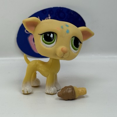GREYHOUND DOG #875 W/ Accessory - Authentic Littlest Pet Shop - Hasbro ...