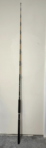 Fenwick PacificStik 1196-TC Saltwater 7’ Fishing Rod 10-25 LB 1/4-3/4 ...