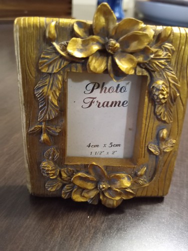 Baroque Design Victorian Floral Magnolia? Gold Gilt Picture Frame 1 1/2 ...