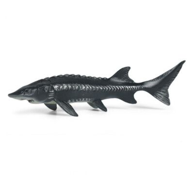 Chinese sturgeon Action Figure Model Toy Realistic Ocean Educational ...