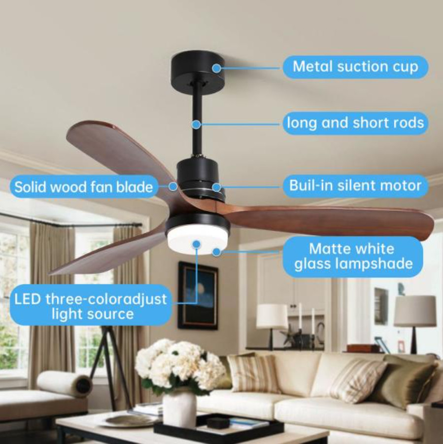 Paddle Ceiling Fan With Light | Shelly Lighting