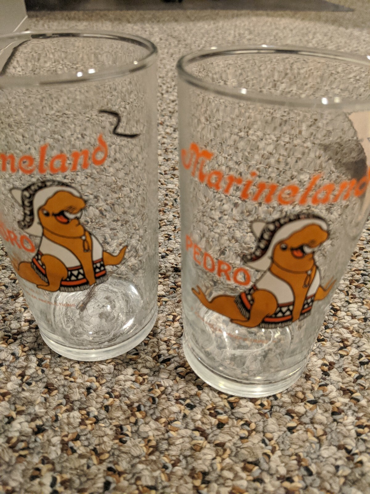 Pair of Vintage Marineland Glasses with Pedro the Seal John Holer ...