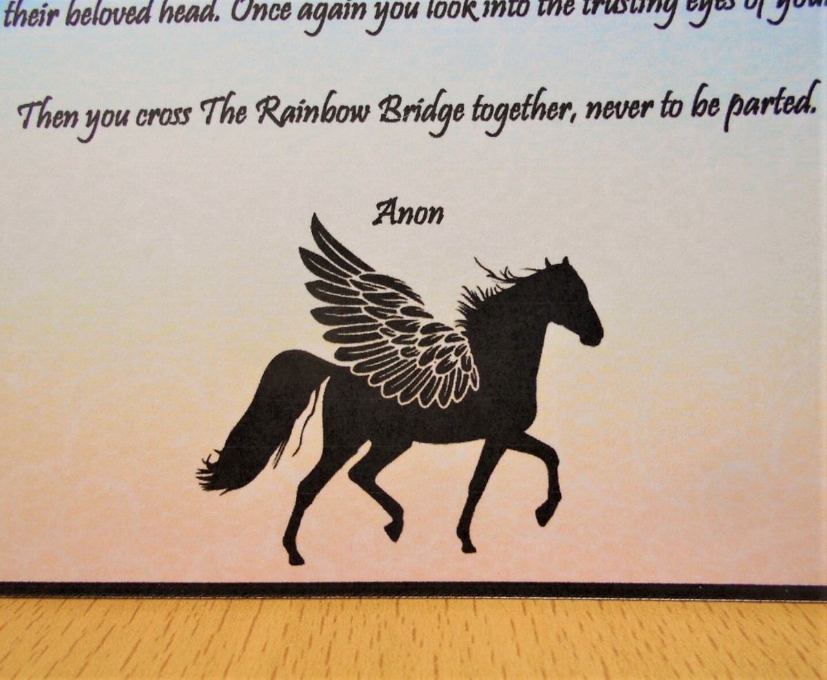 Short Rainbow Bridge Poem Horse And Carriage - Infoupdate.org