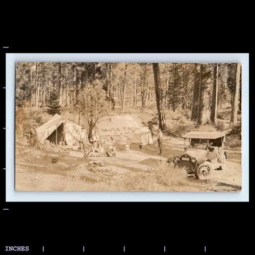 Old Vtg Photo MEN CAMPING TENT DEER HUNTING CLASSIC CAR 1917 WILLYS ...