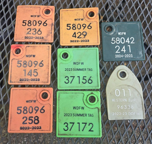 8 Washington State Commercial Crabbing License Tags Used Expired Crab ...