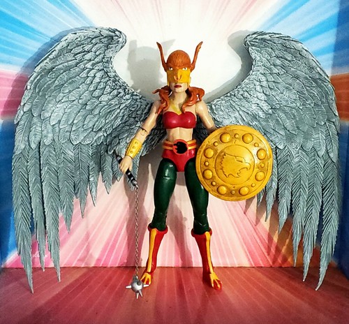 HAWKGIRL Shiera Saunders All-Star Squadron custom JLA JSA DC Direct | eBay