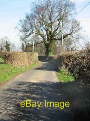 Photo 6x4 Tree on Hogg Lane Upper Hardres Court c2007 | eBay UK