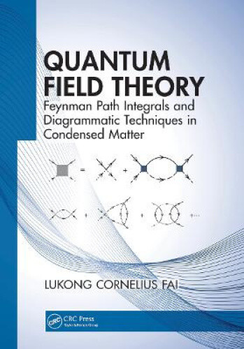 Quantum Field Theory: Feynman Path Integrals and Diagrammatic Techniques in 9780367779597 | eBay