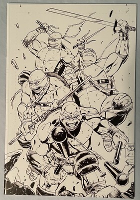 Teenage Mutant Ninja Turtles #1 Torpedo Tony Daniel B&W Variant IDW ...